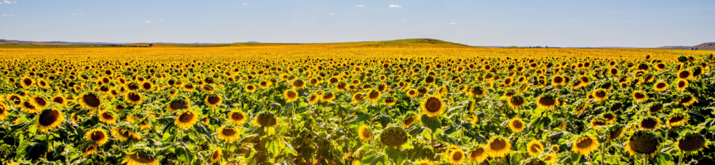 NDGOP Staff - North Dakota Republican Party