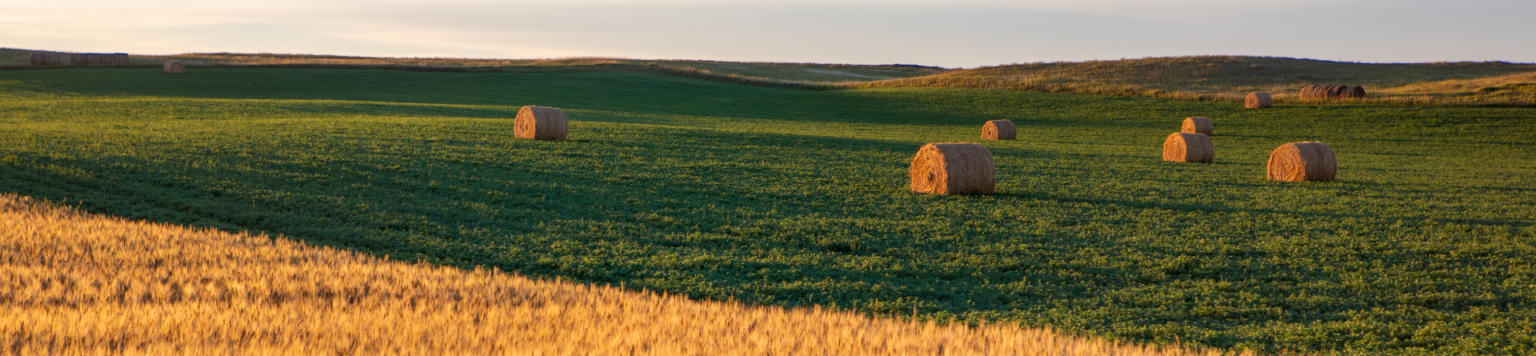 Elected Officials - North Dakota Republican Party